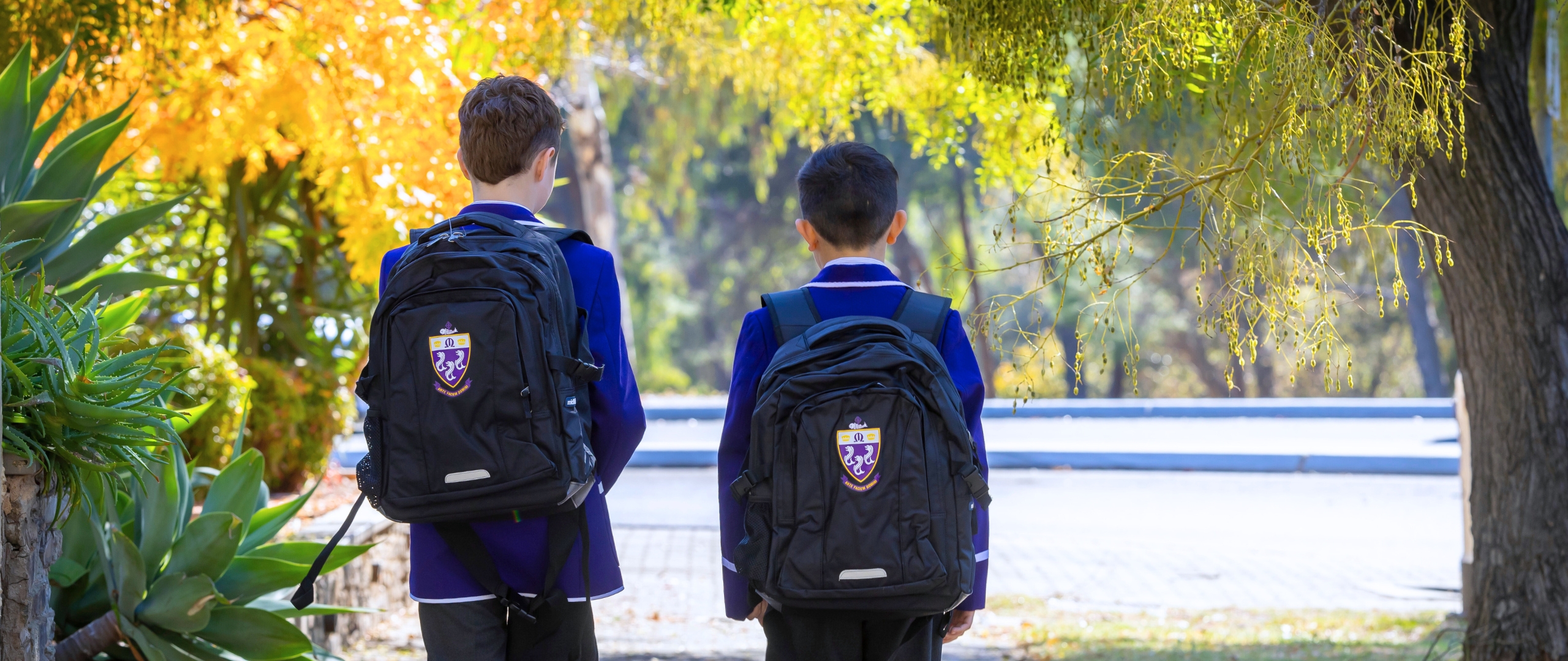 FAQs - Christian Brothers College
